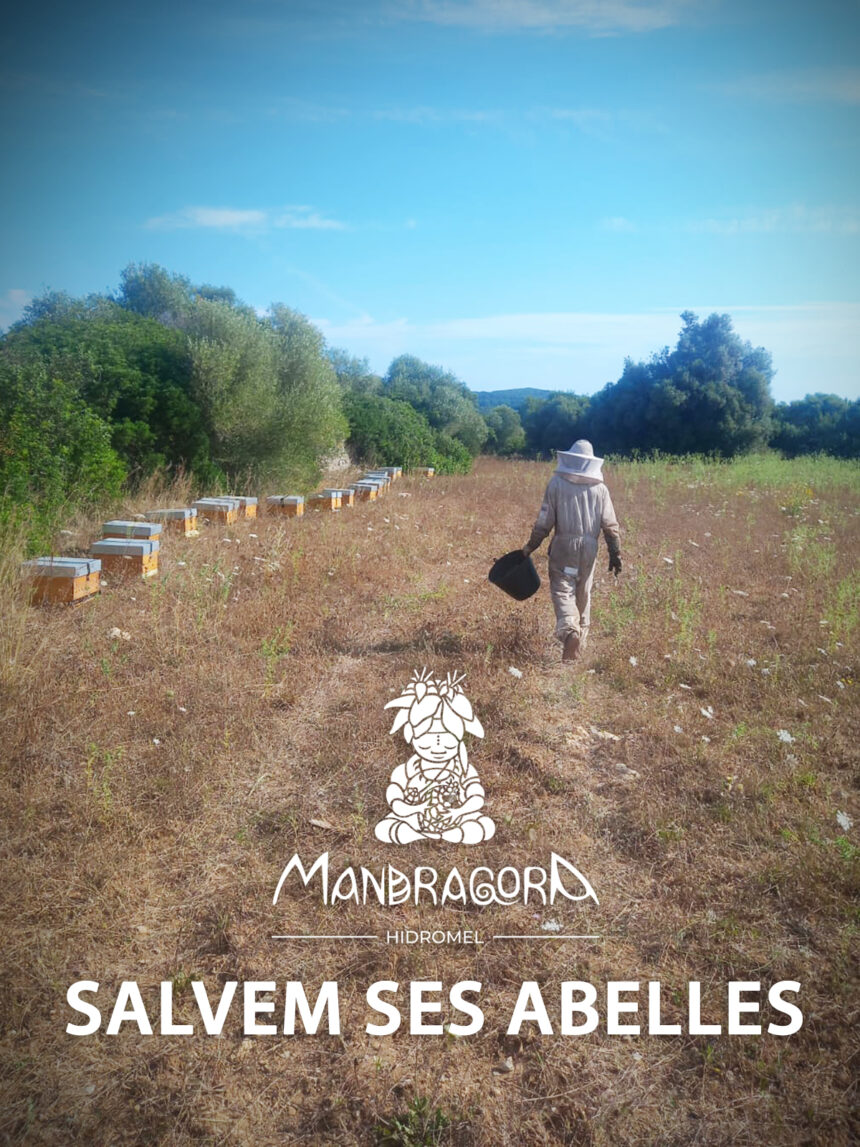 Salvemos A Las Abejas | Mandragora Hidromiel